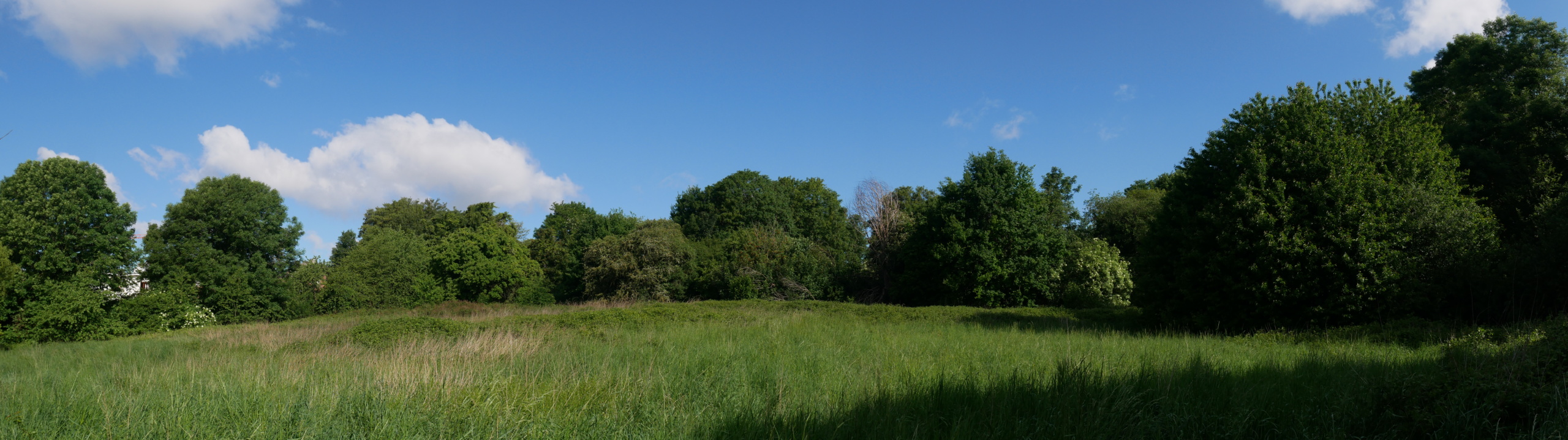 Donderberg - Save Donderberg - Laeken